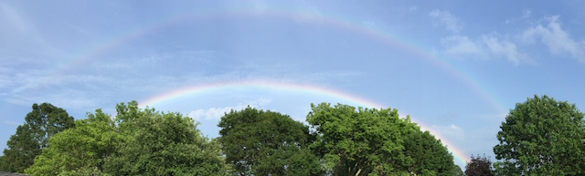 A Rainbow of Wonder: Understanding How We See Color - Glimpses of ...